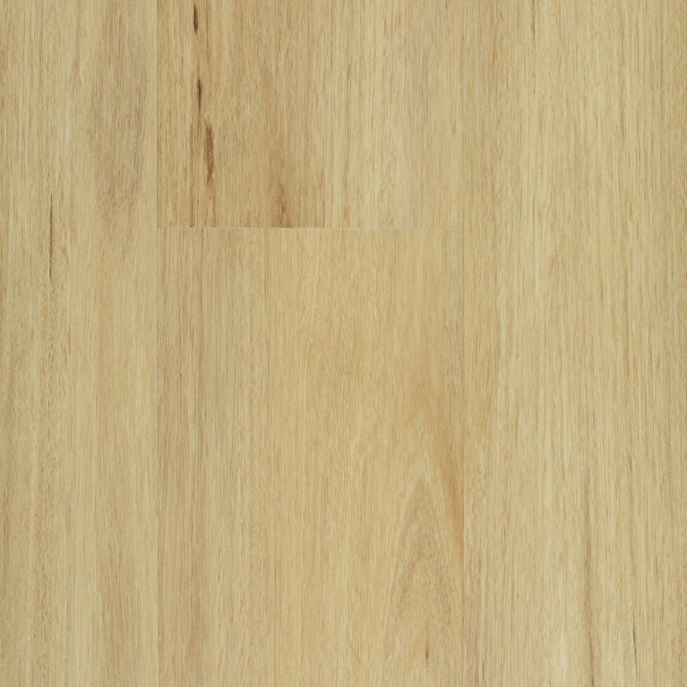 Stonegrove Brevis Coastal Blackbutt Hybrid Flooring - The Flooring Guys