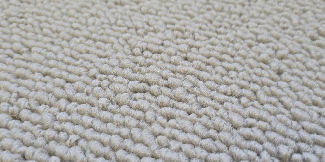 Shanty 2 / Jacks Point Solution Zephyr Dyed Polyester Carpet - The ...