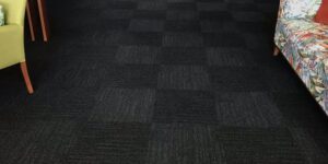 AFD Cushion Back Vancouver Solution Dyed Nylon Carpet - The Flooring Guys